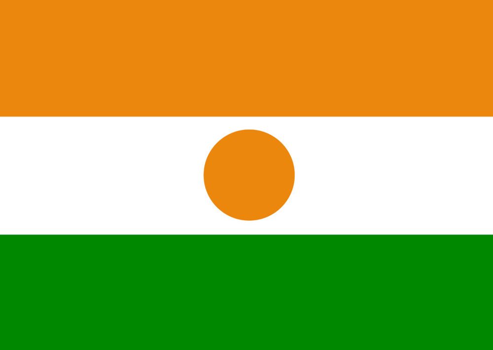 'Millions needed now to avoid Niger famine'