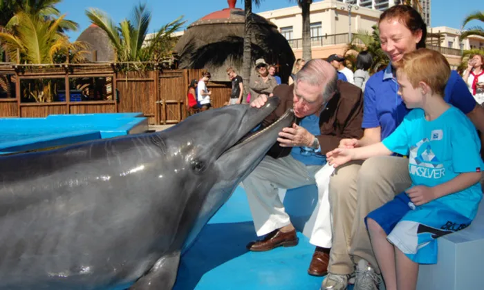 Happy 40th to Gambit the dolphin