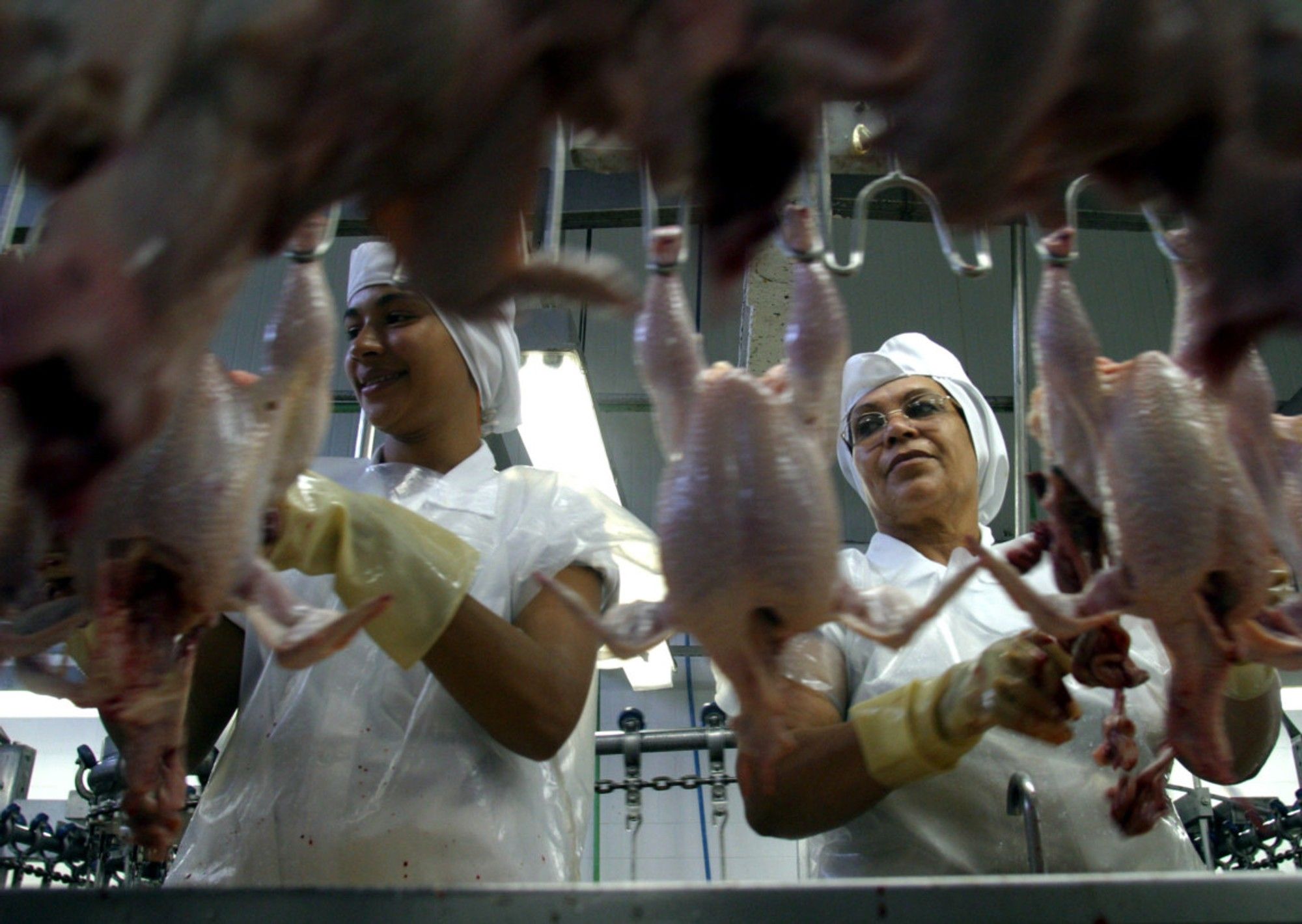 Chicken dumping fee to hit consumer