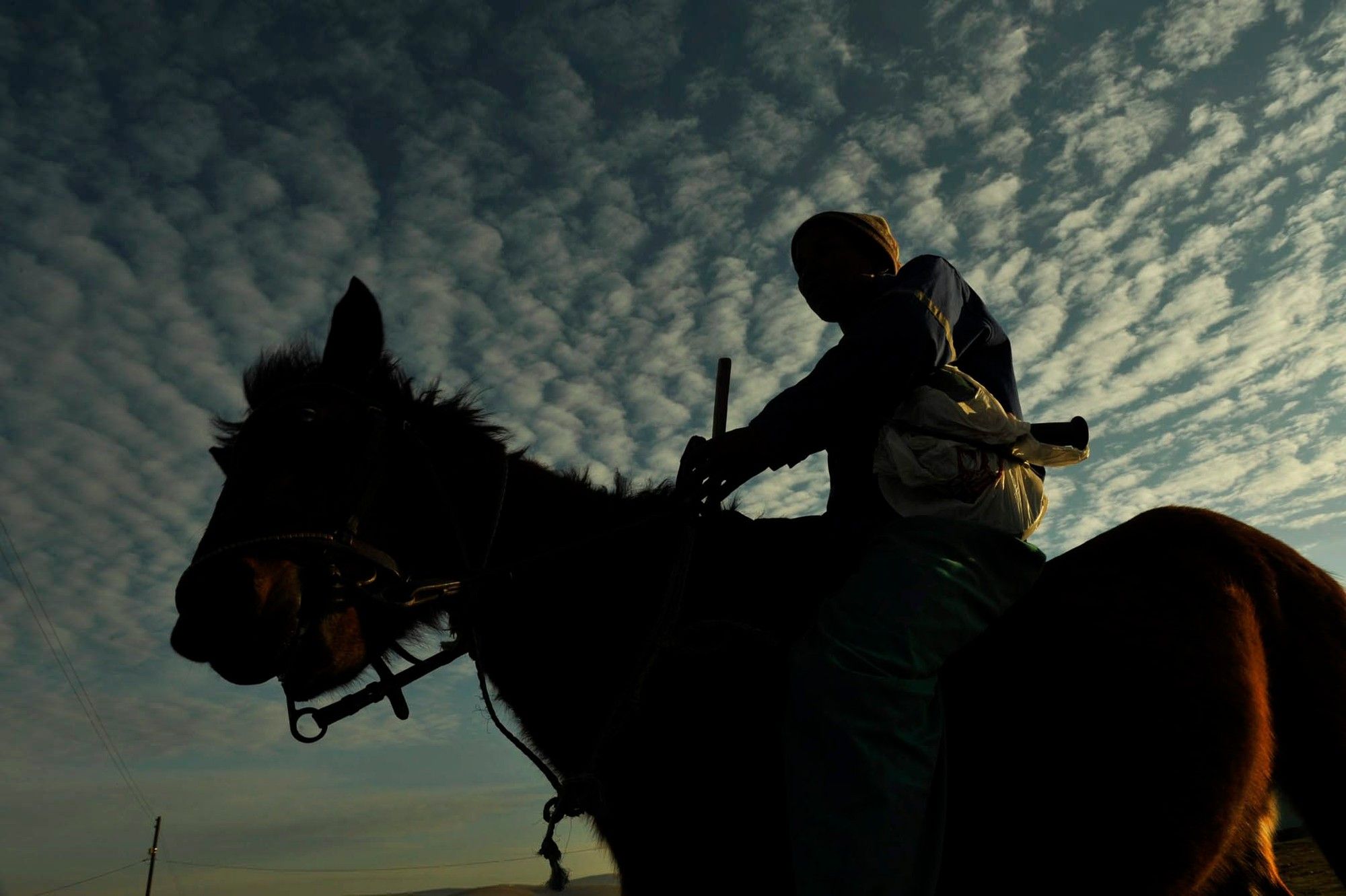 ‘The Byerley Turk’: The enduring cultural bond of Turkic and African ...
