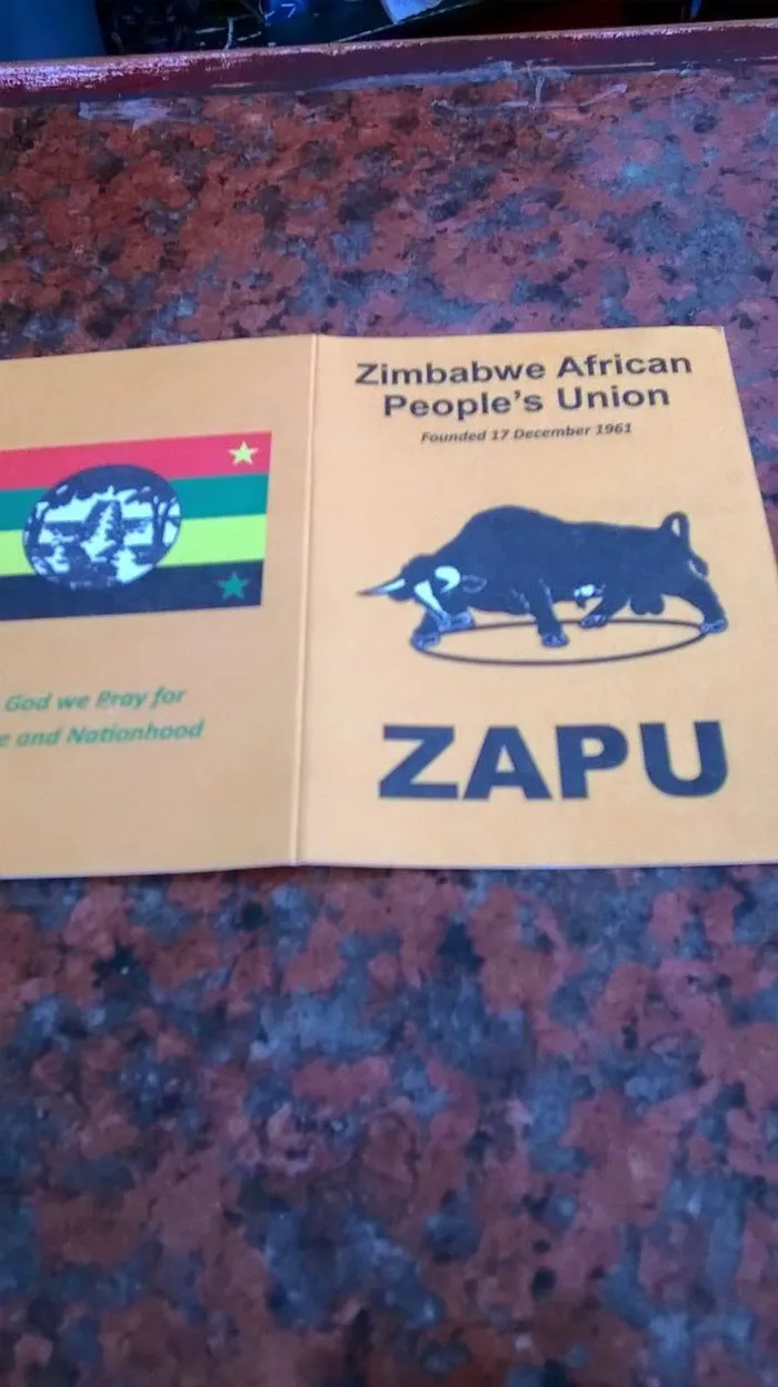 Zimbabwe opposition party Zapu to establish government in exile