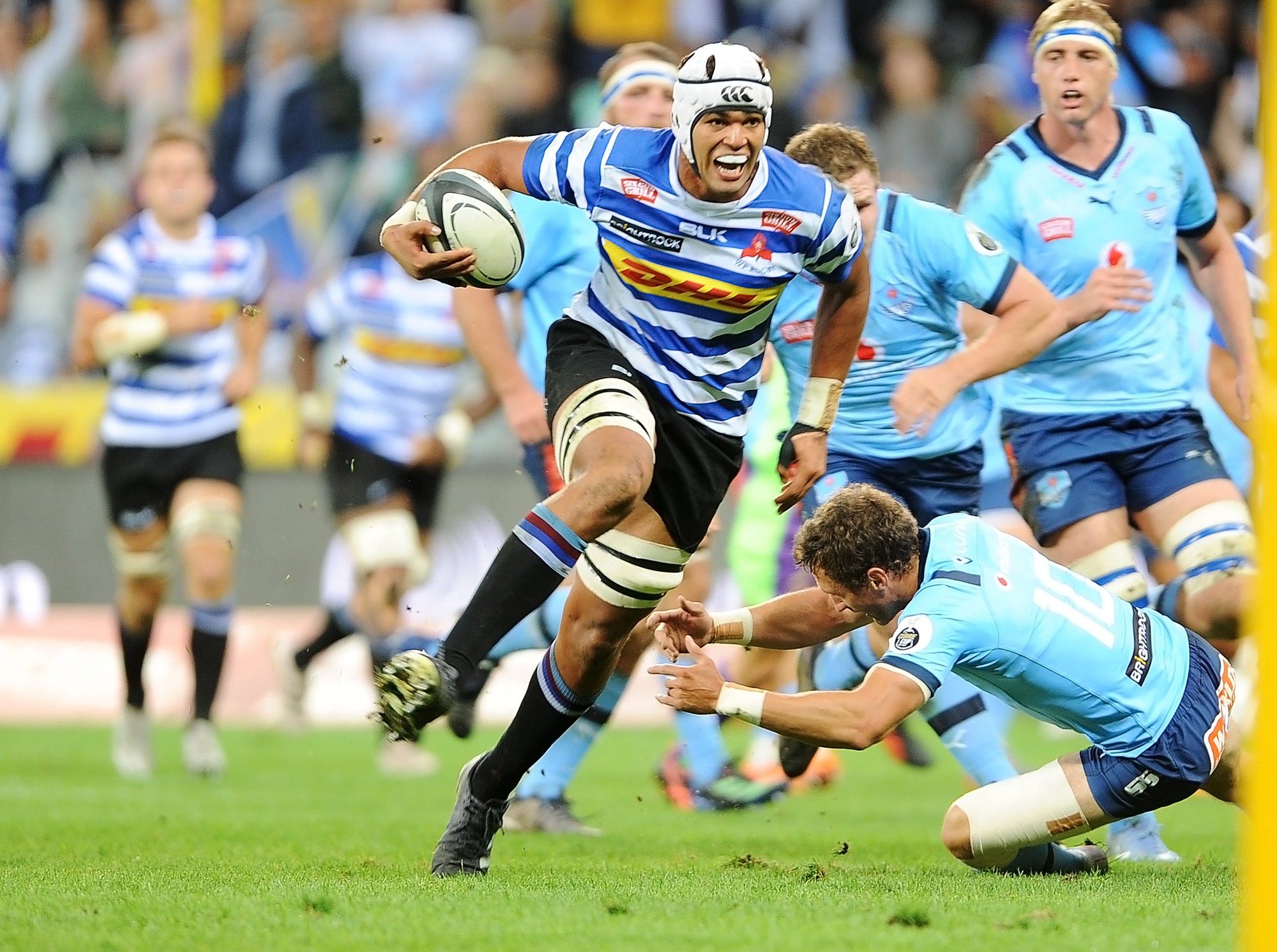 Blue Bulls overwhelmed by youthful Western Province in one-sided Currie ...