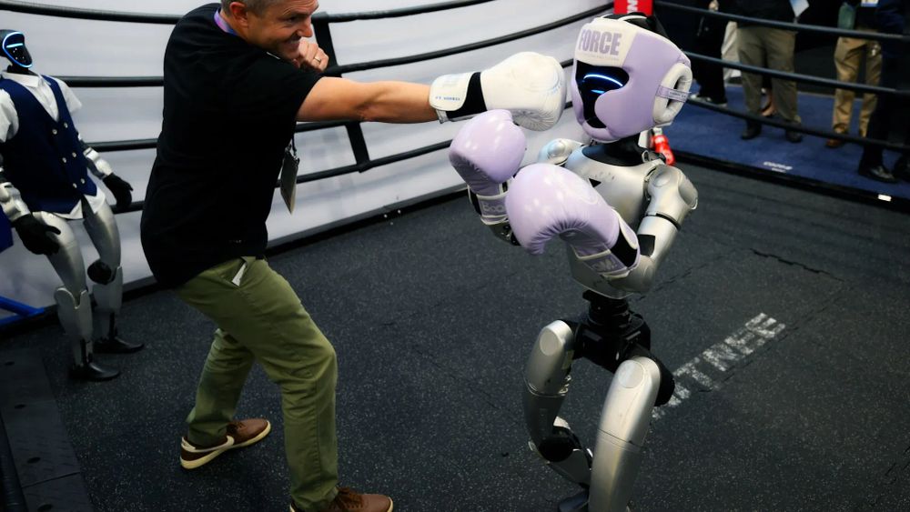 What I learned from boxing a robot