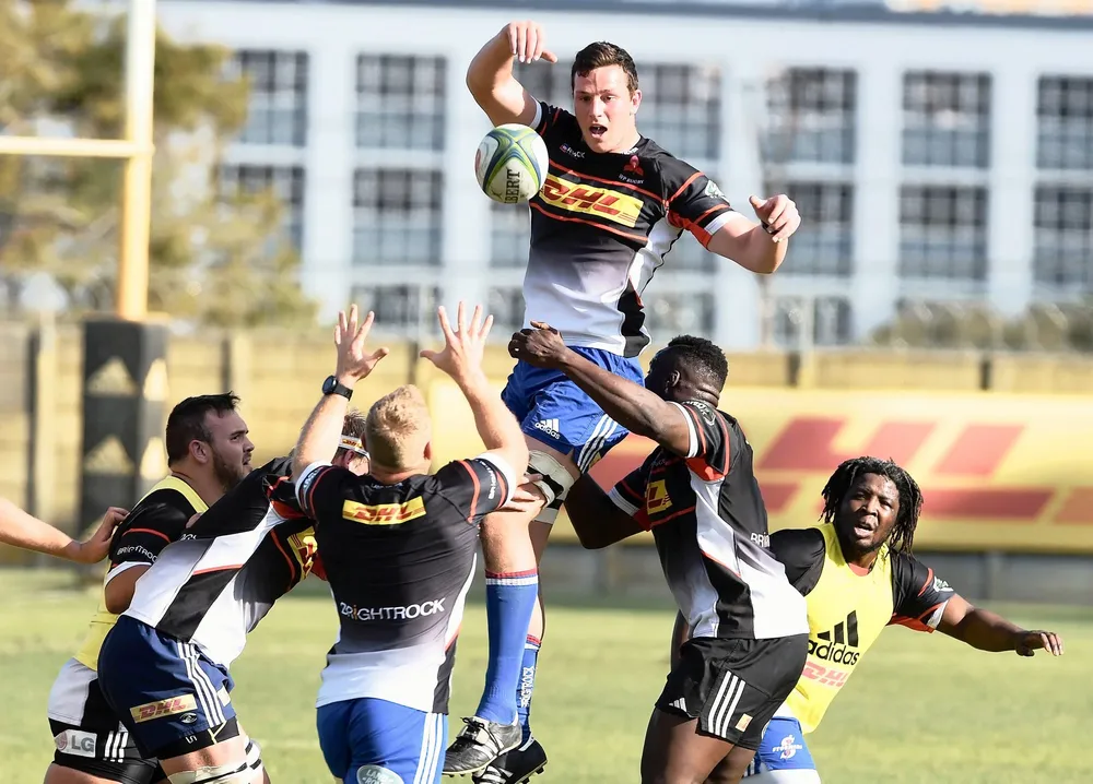 Dobson: French tour cost WP less than playing a friendly in SA