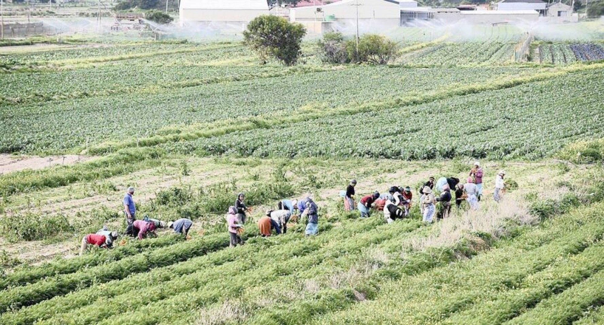 The implications of the Expropriation Bill for South Africa’s Land ...