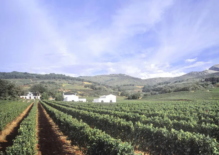 Winter destinations to explore in and around Paarl