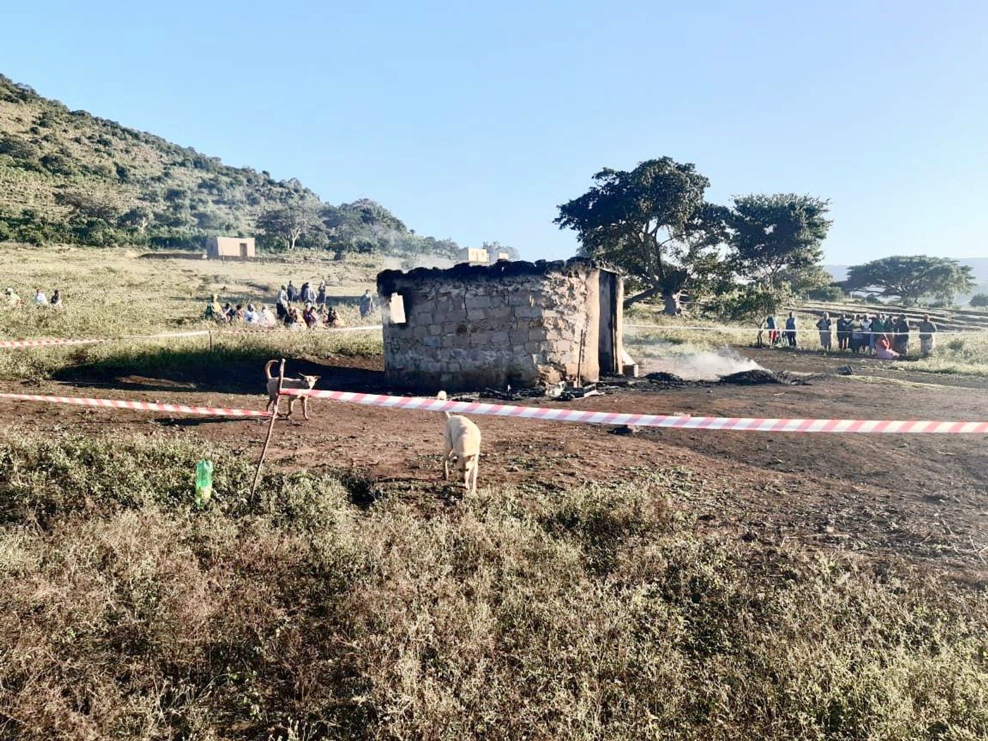 Uboshiswe wumdlwane owabulala ngesihluku