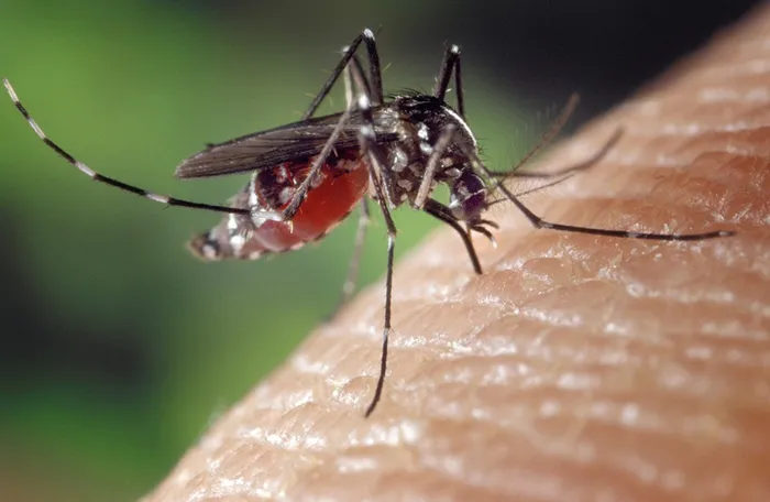 R14 'dipstick' test could pinpoint Zika virus