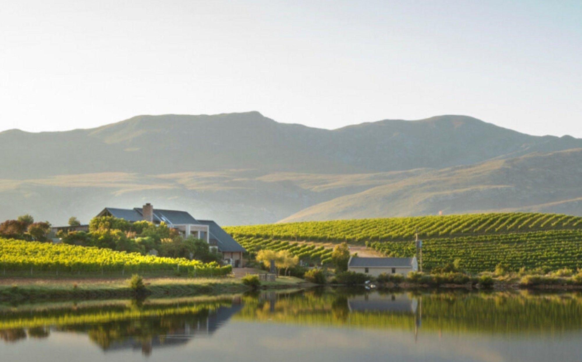 South Africa’s Creation Wines voted in top 3 vineyard’s globally at ...