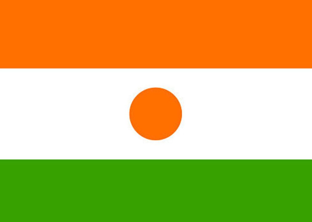 EU resumes development aid for Niger
