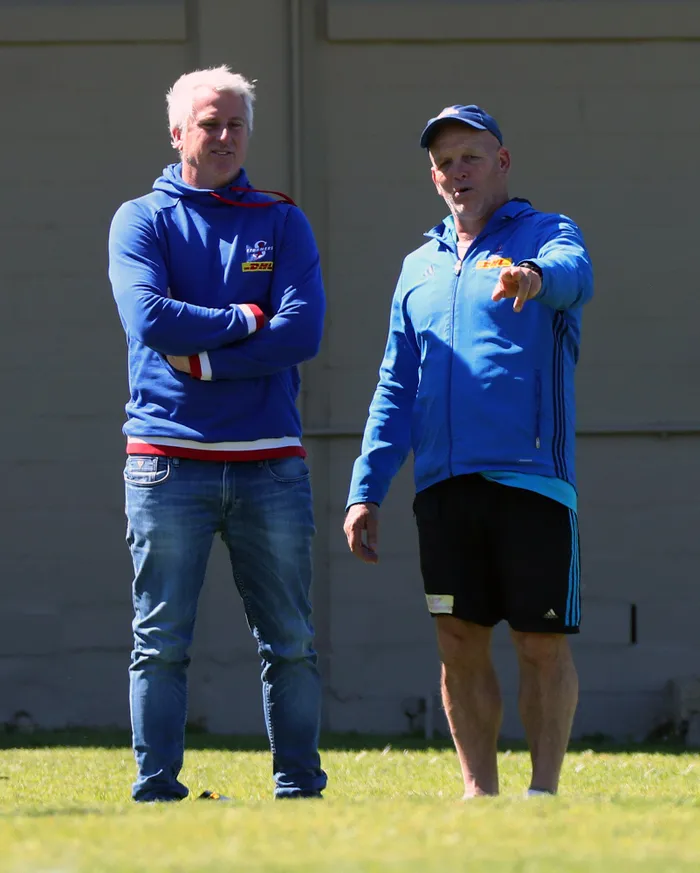 Fleck: Stormers had to announce Dobson appointment because of player ...
