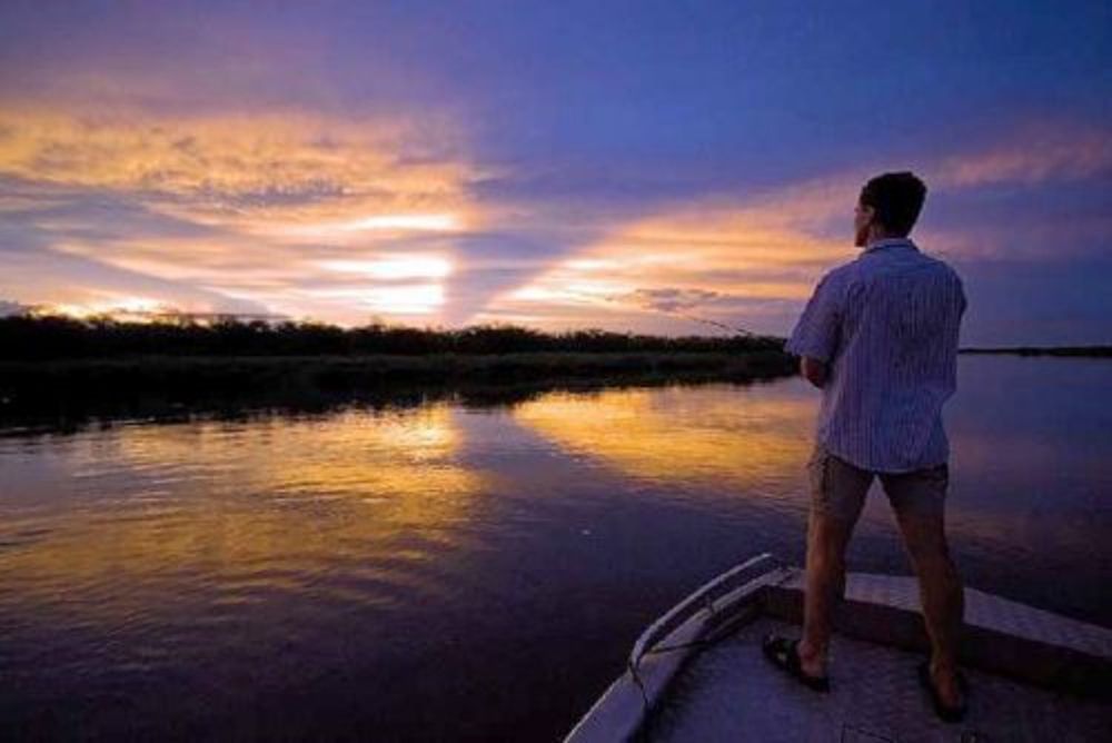 Cruising the Okavango