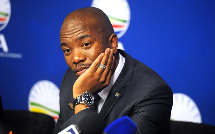 IRR's Hermann Pretorius happy with Mmusi Maimane resignation