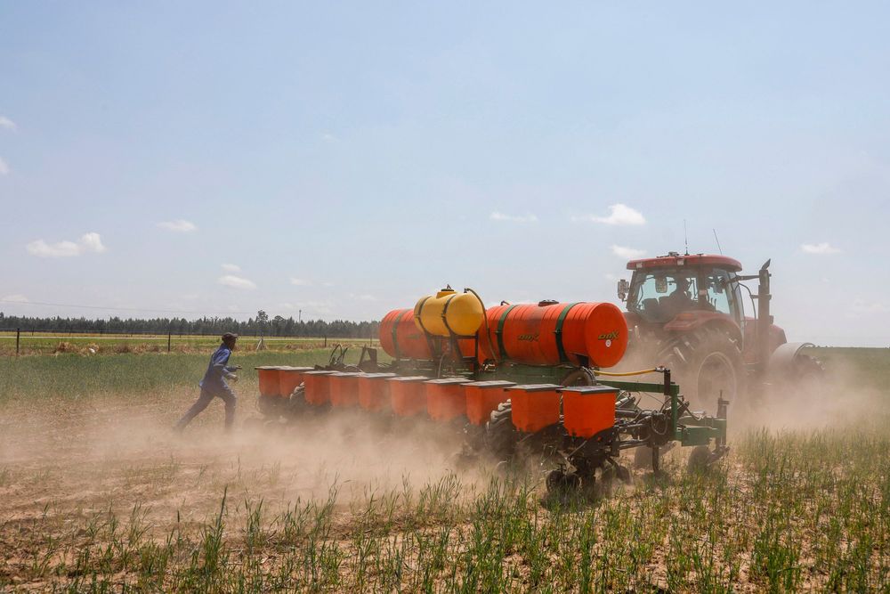 We need to evaluate SA’s economic policy through the lens of food ...