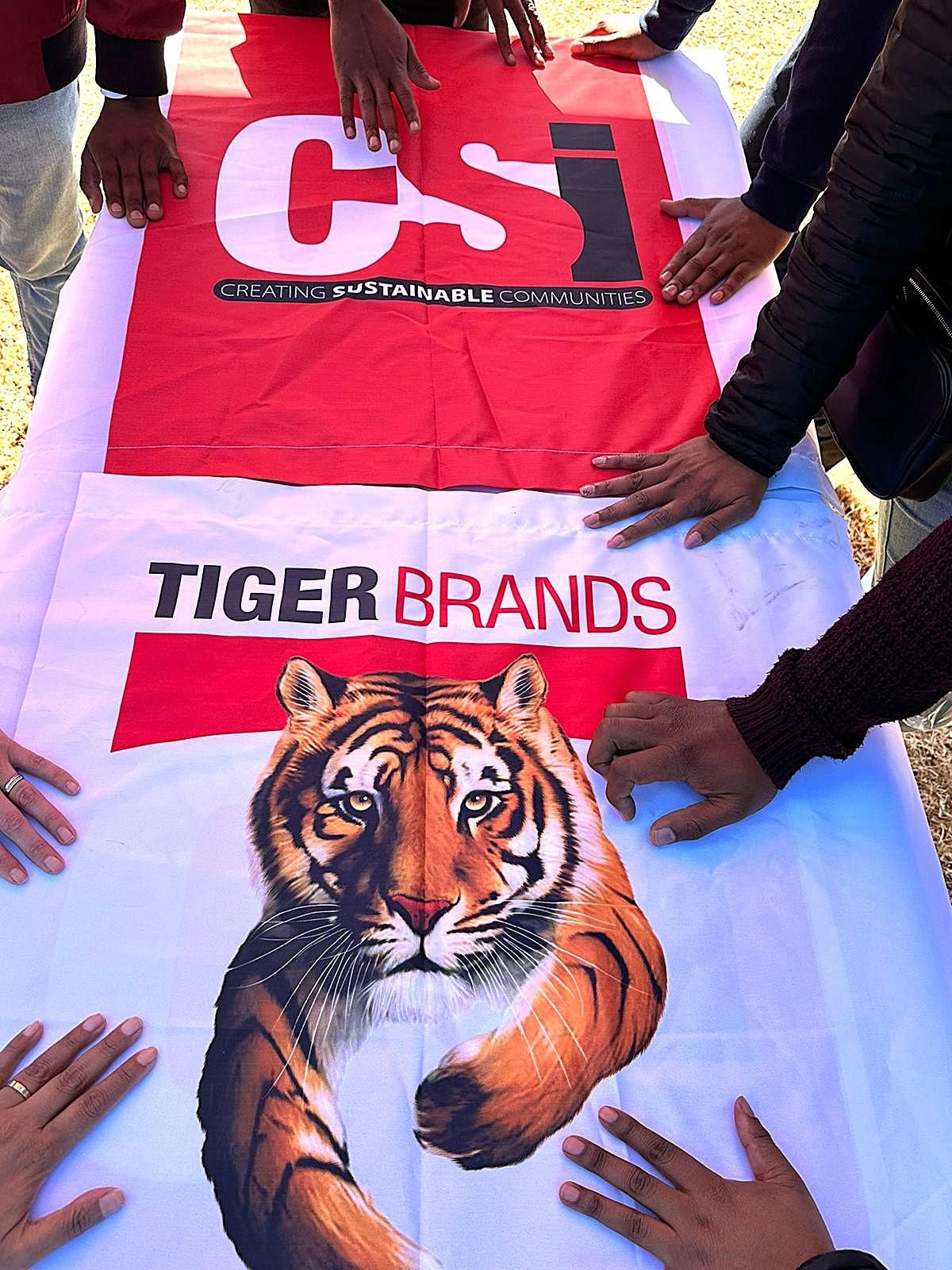 Tiger Brands exits deciduous canned fruit business, establishing R150 ...