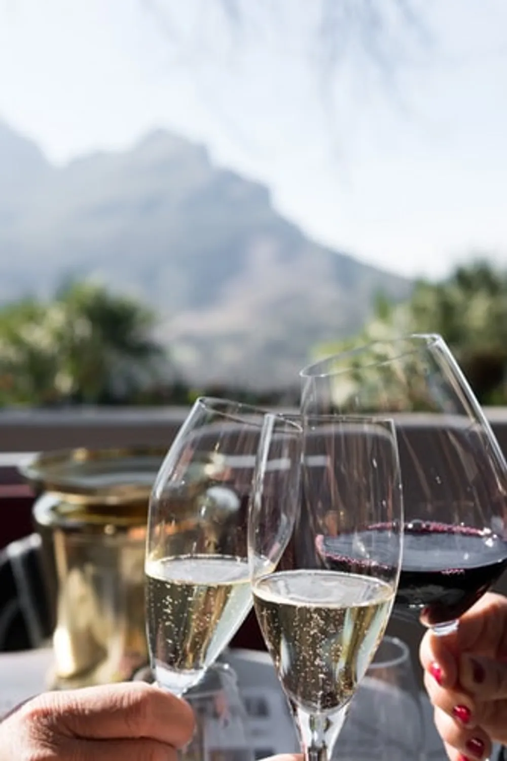 WATCH: These are the best glasses to drink champagne out of