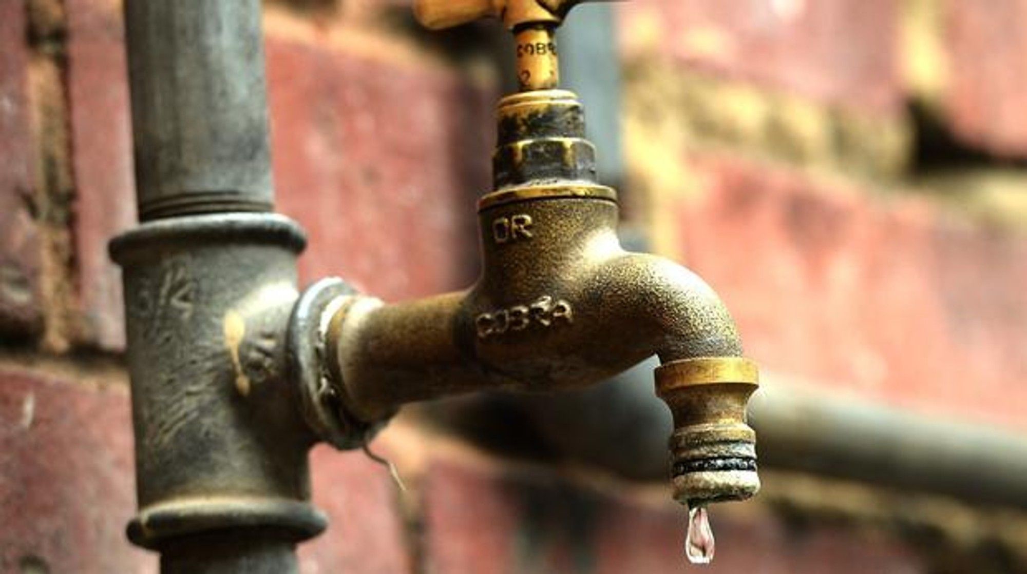 Extensive sampling confirms tap water is safe to drink on Atlantic Seaboard