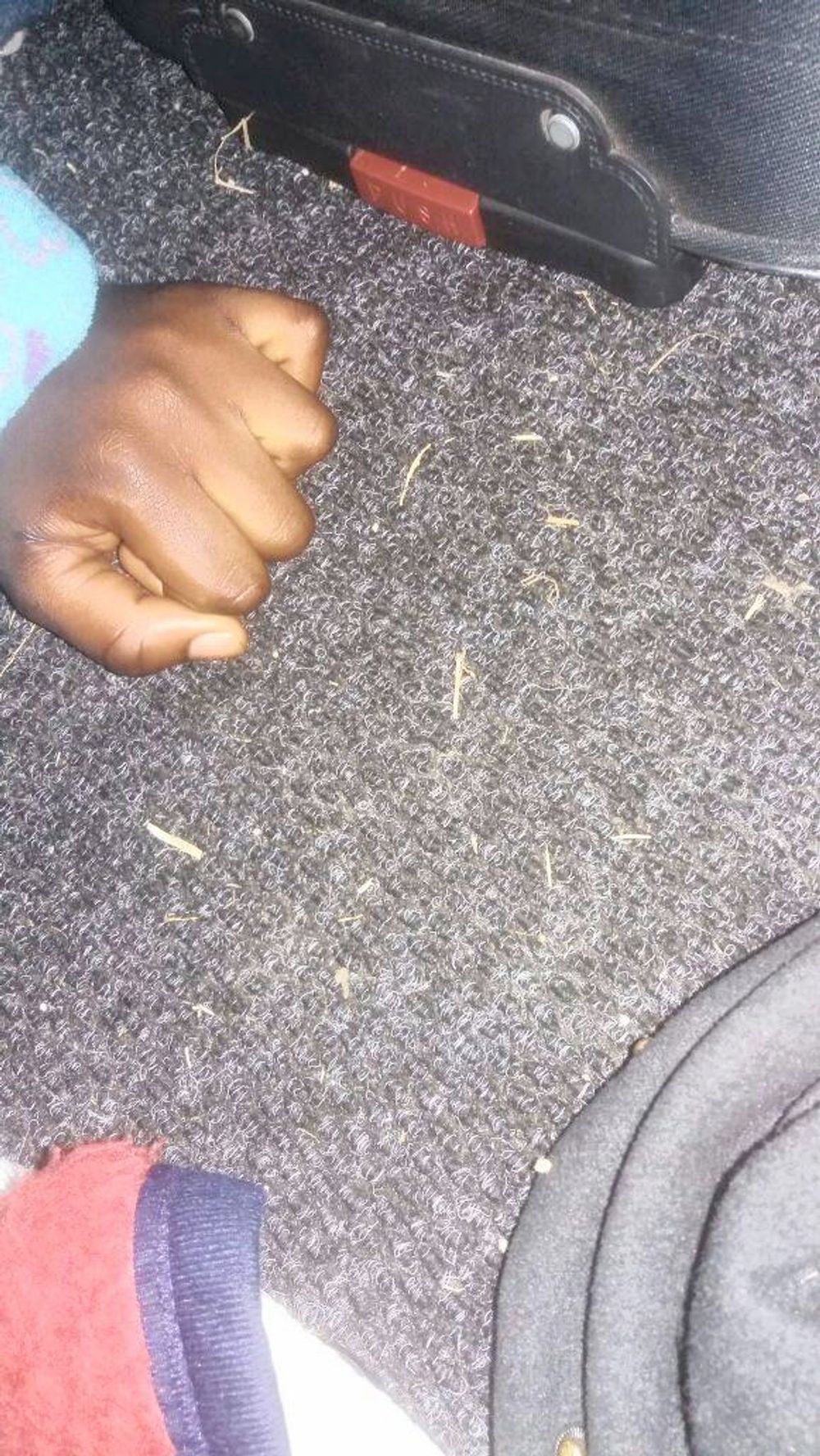 PICS: Durban's R500k hired carpets anger maidens