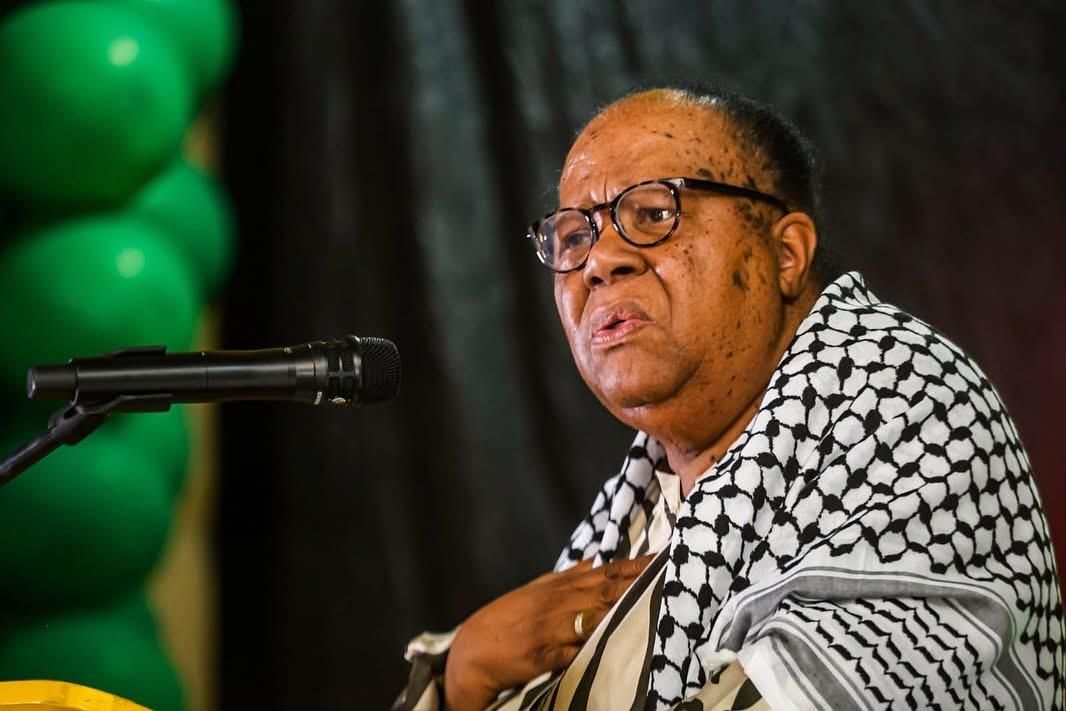 Naledi Pandor: The ANC has lost its glory and people look at it with ...