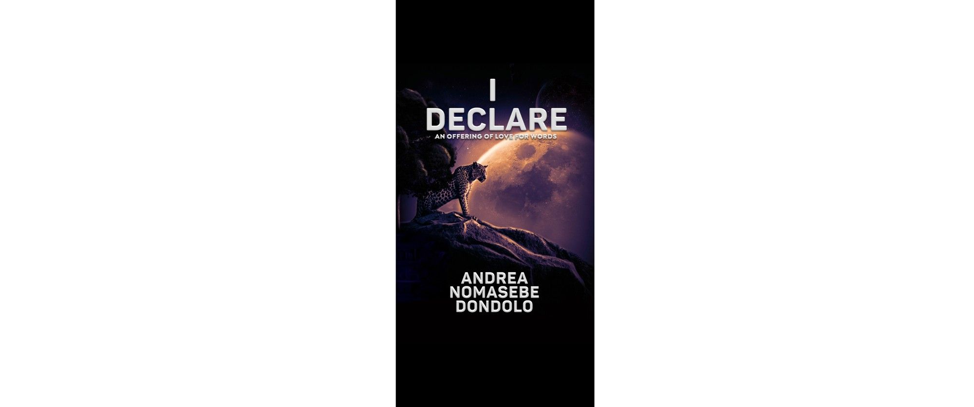 Book review: Andrea Dondolo’s book of poetry