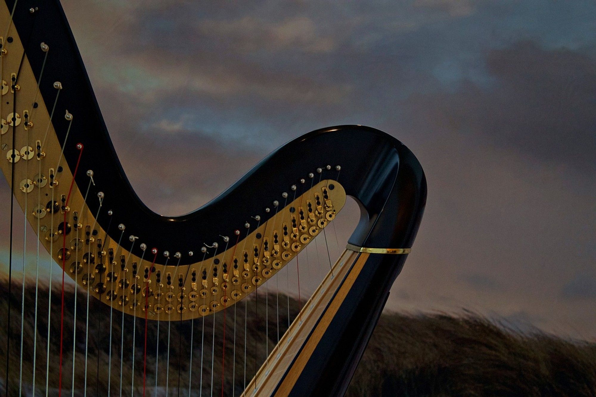 Technology helps disabled student play the harp with her eyes