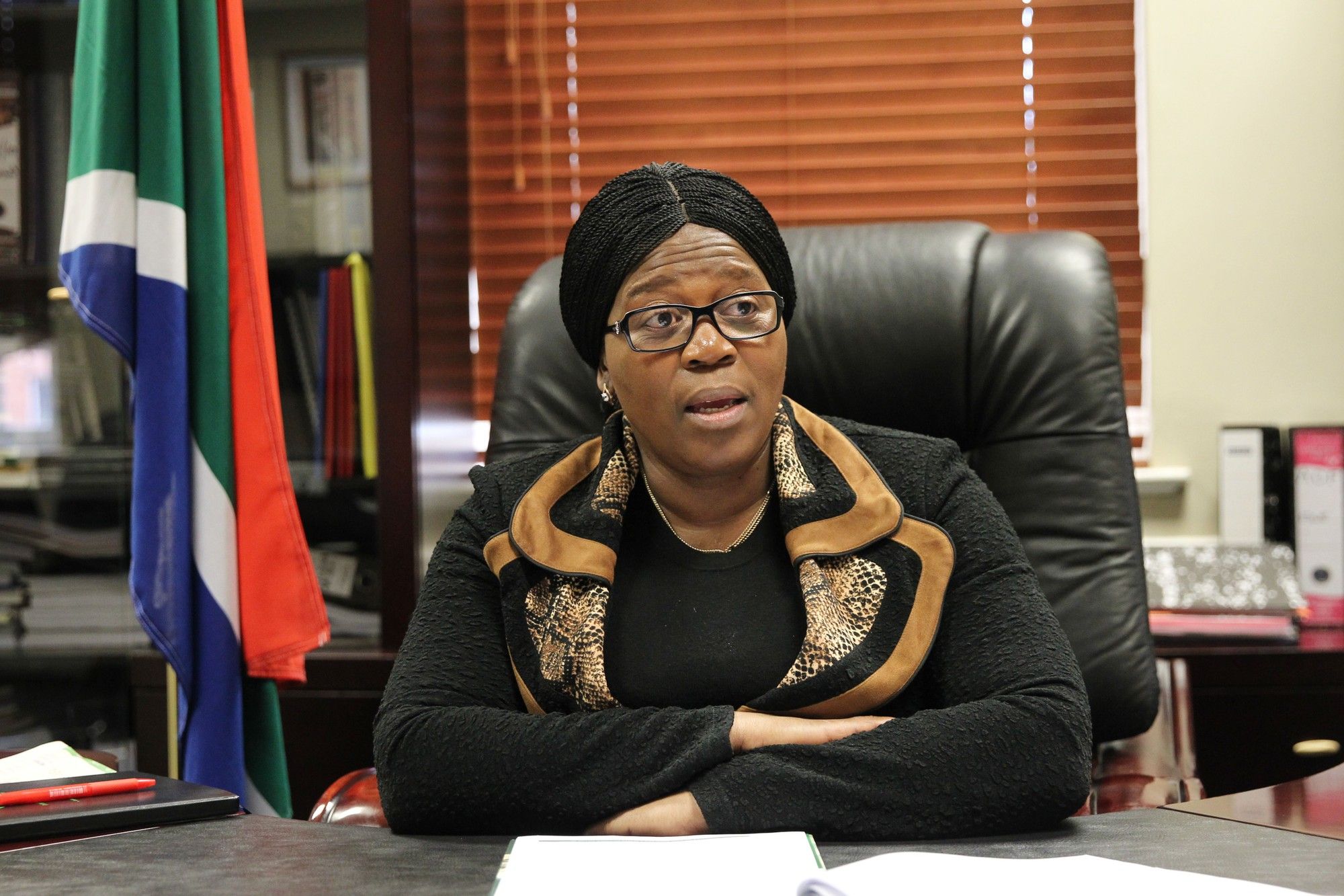 Bani-Mapena sacked, Sithole-Moloi takes over temporarily as KZN MEC for ...