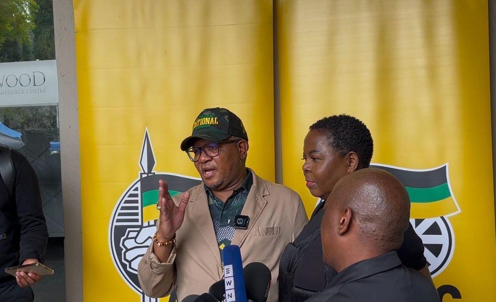 ANC secretary general Fikile Mbalula says 'Kill the Boer' chant is ...