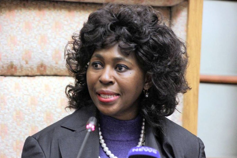 ANCYL targeting anti-Zuma party members