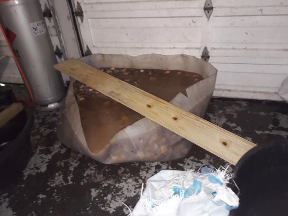 Five nabbed with abalone and equipment worth R3.5 million