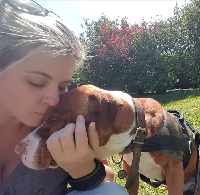 ‘Each dog should be judged on own merit’, says animal behaviour expert ...