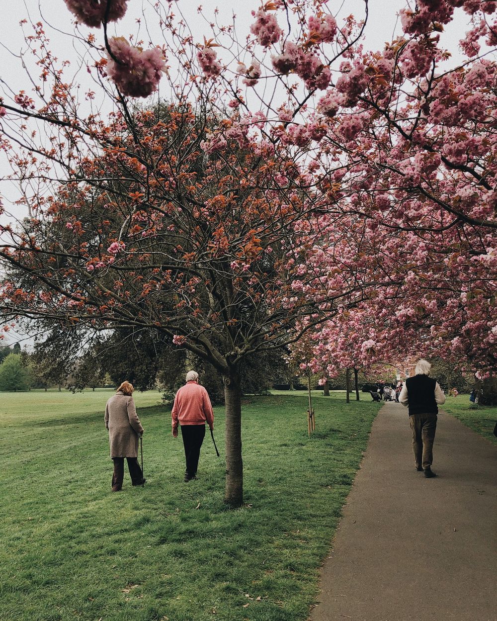 3 things the world’s oldest people regret, according to longevity ...