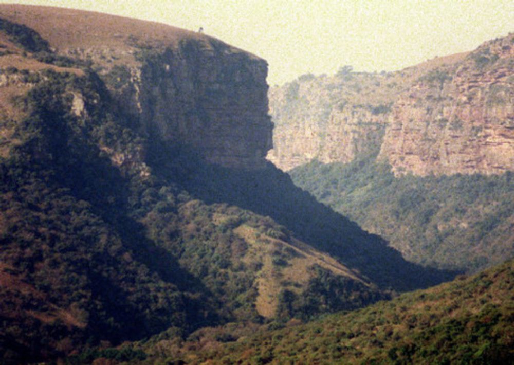 Gallery: Gorge(ing) on nature’s finest