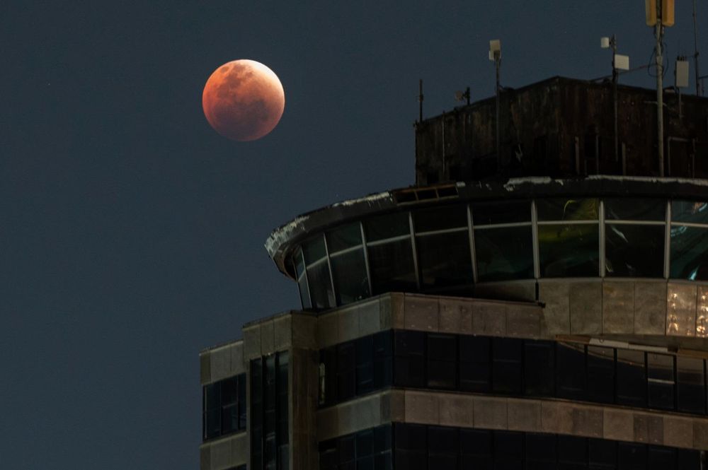 LOOK | Lunar eclipse dazzles South Africans