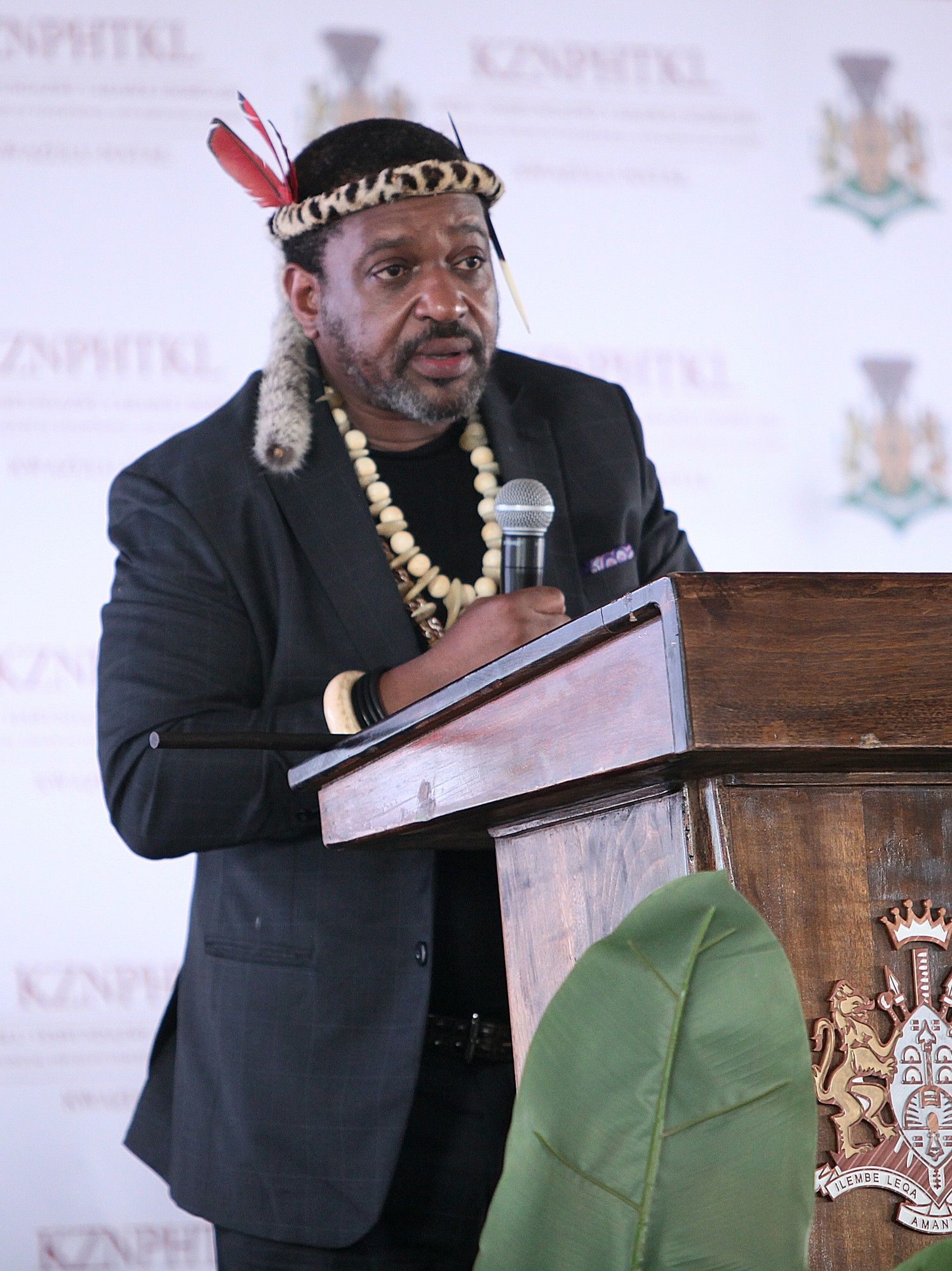 Zulu King honours tradition: Misuzulu sends delegation for Princess ...