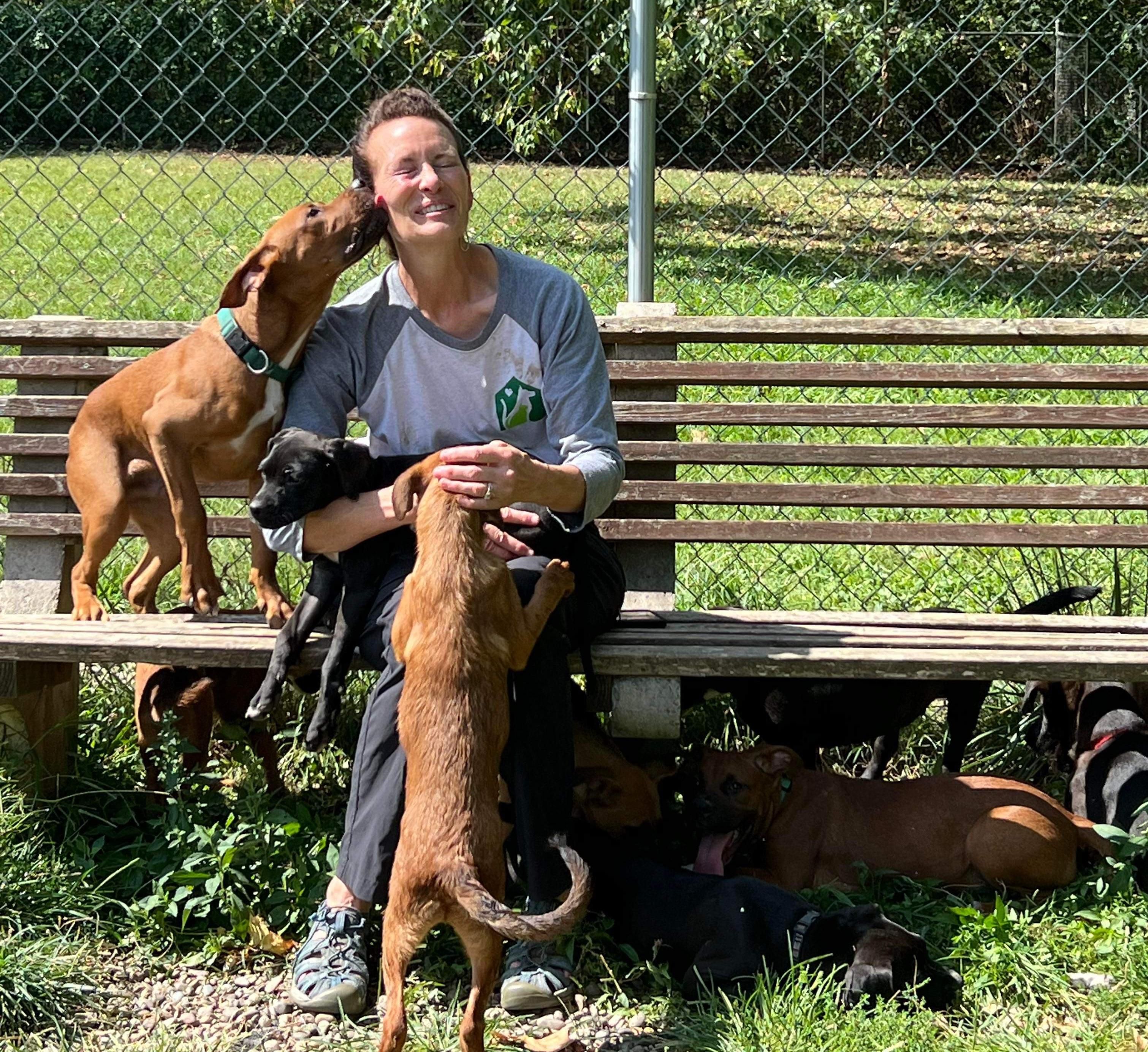 Courtney Proctor Cross: transforming Huntington's animal shelter from a ...