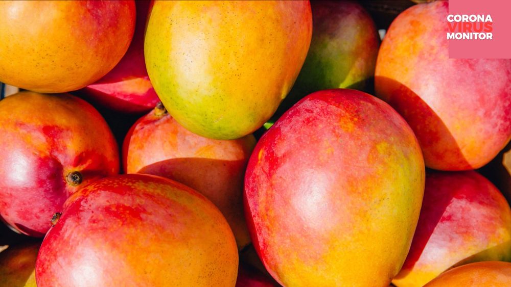 DIY Health Tonic: Mango and Strawberry Juice
