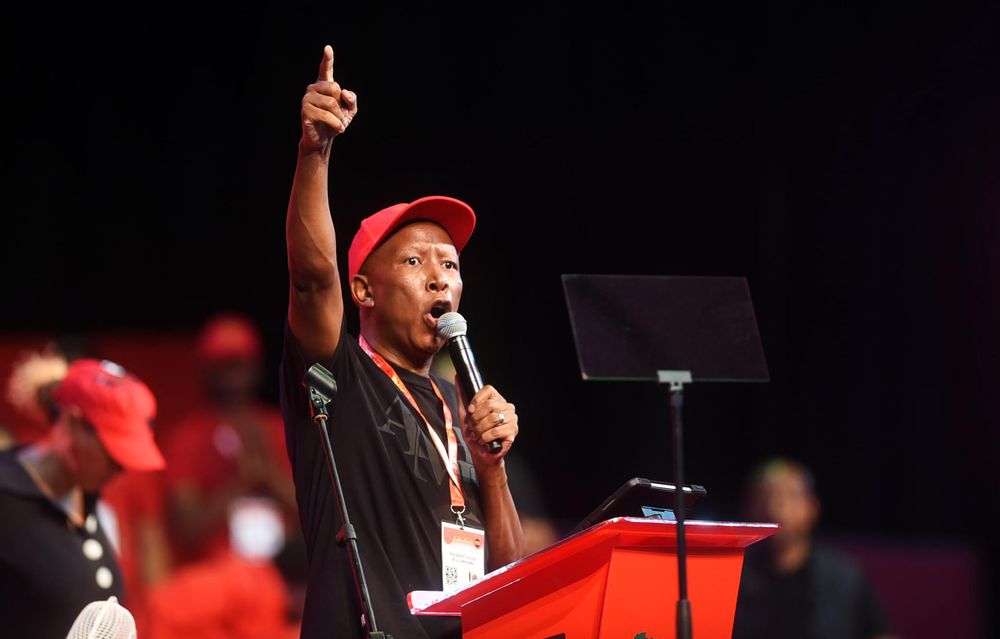 Is Julius Malema untouchable? Political analyst questions EFF president ...