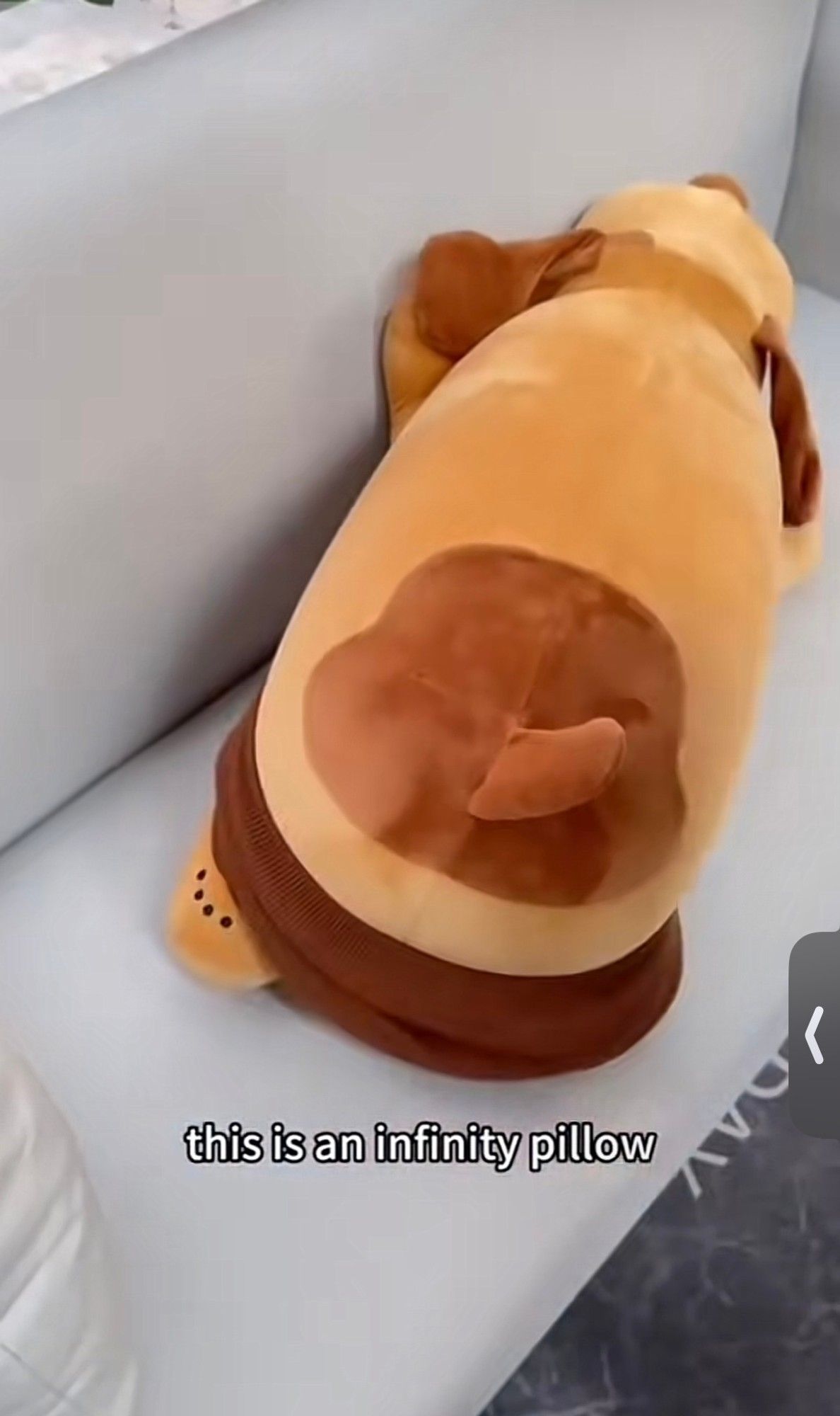 LOOK: Why TikTok can't stop talking about the Infinity Pillow