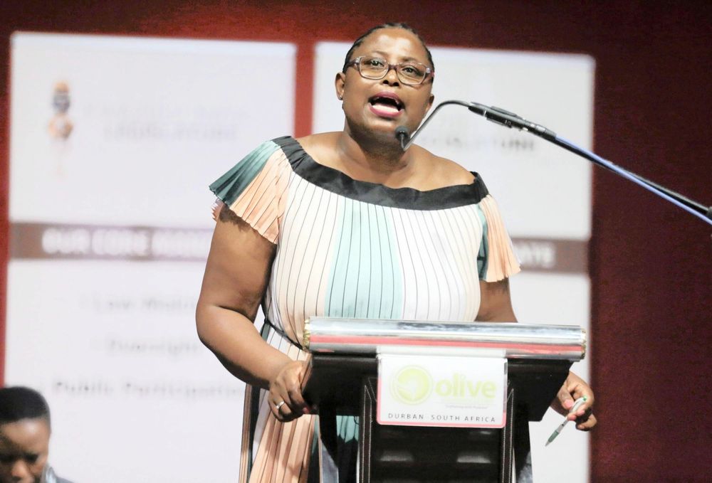 ’A campaign to demonise’: KwaZulu-Natal legislature speaker responds to ...