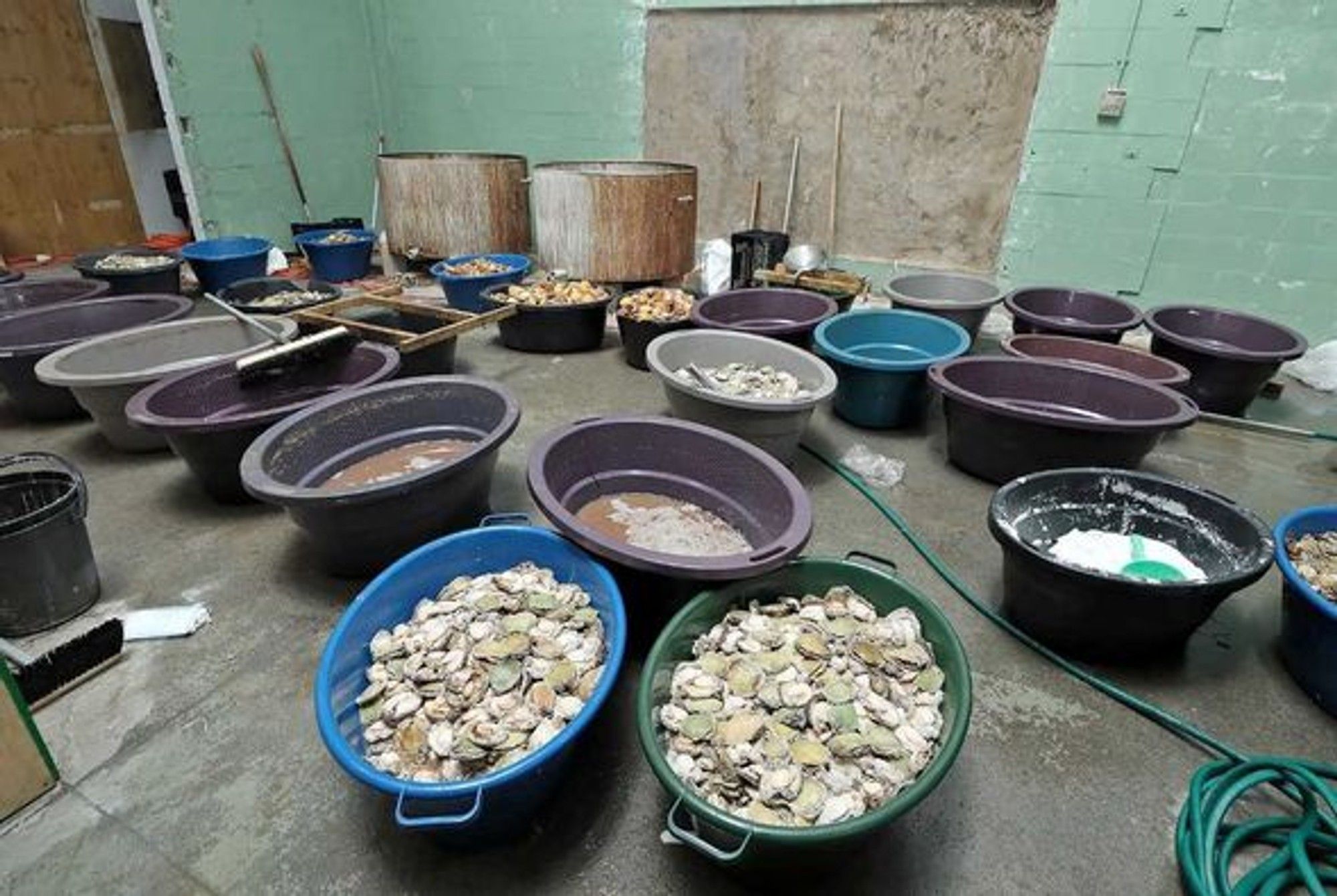 Three arrested in one of Western Cape's biggest abalone busts in recent ...