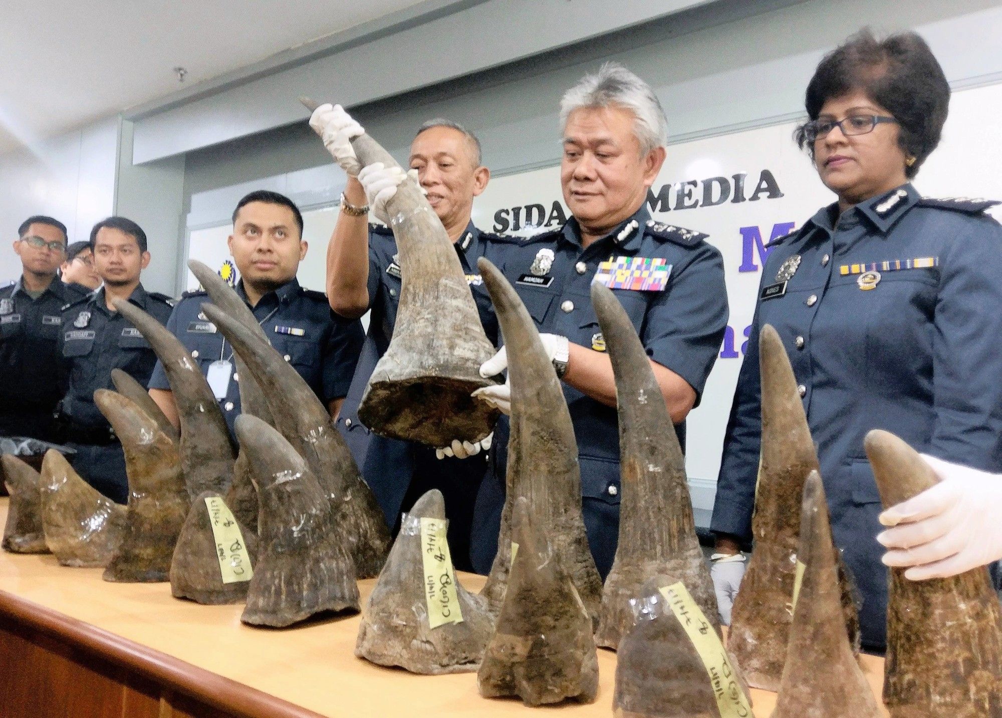 Rhino traders' road to riches