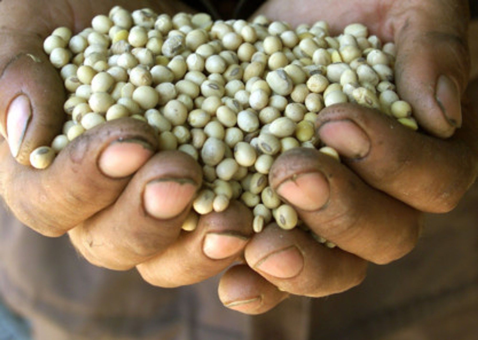 When bad foods turn good