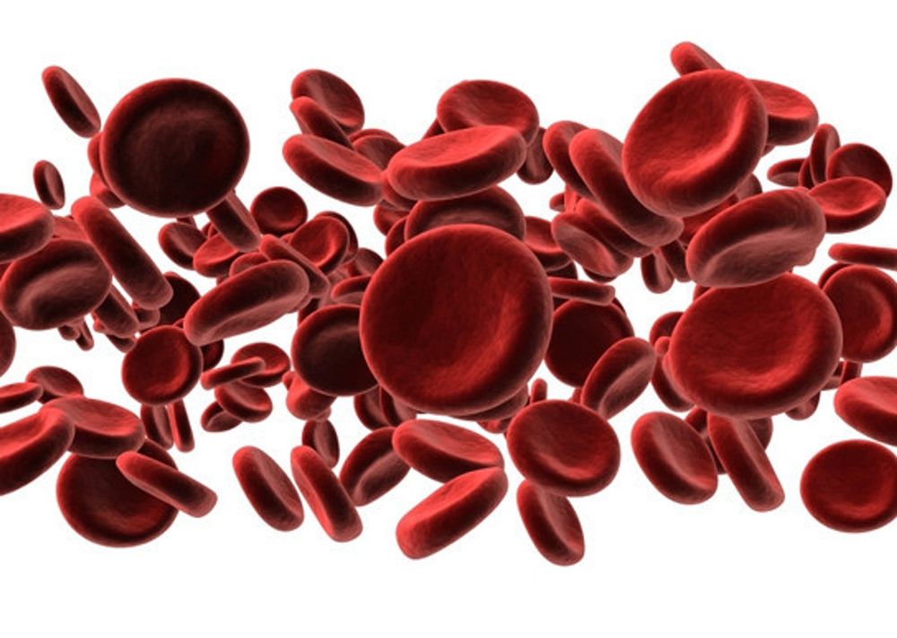 Transplant may have cured man of Aids - report