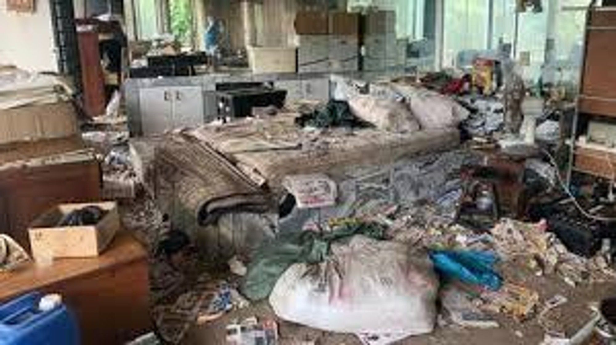 29 dogs rescued from home in Clare Estate, woman charged