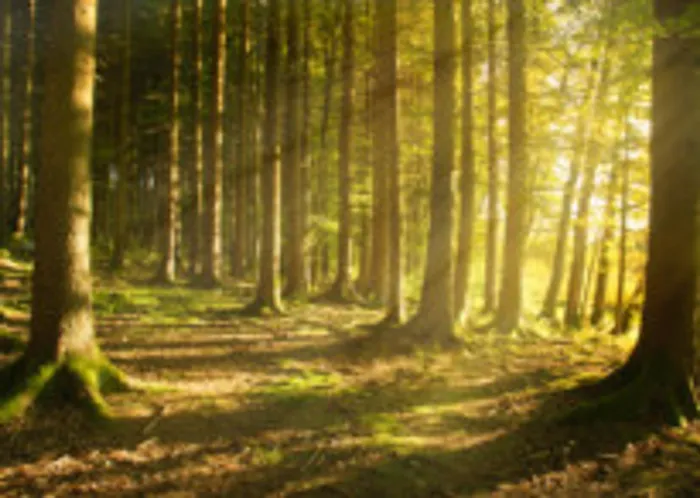 Vitamin D could perk up love life