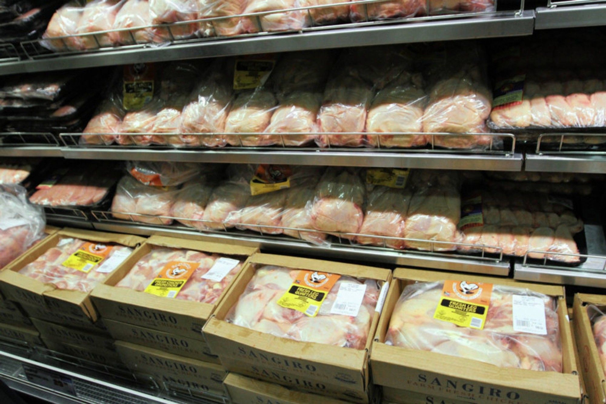 How VAT-Free chicken can combat poverty and malnutrition in South Africa