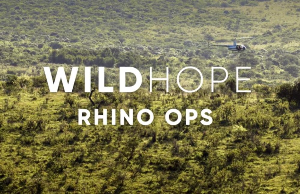 New film 'Wild Hope: Rhino Ops' explores Ezemvelo KZN Wildlife's ...