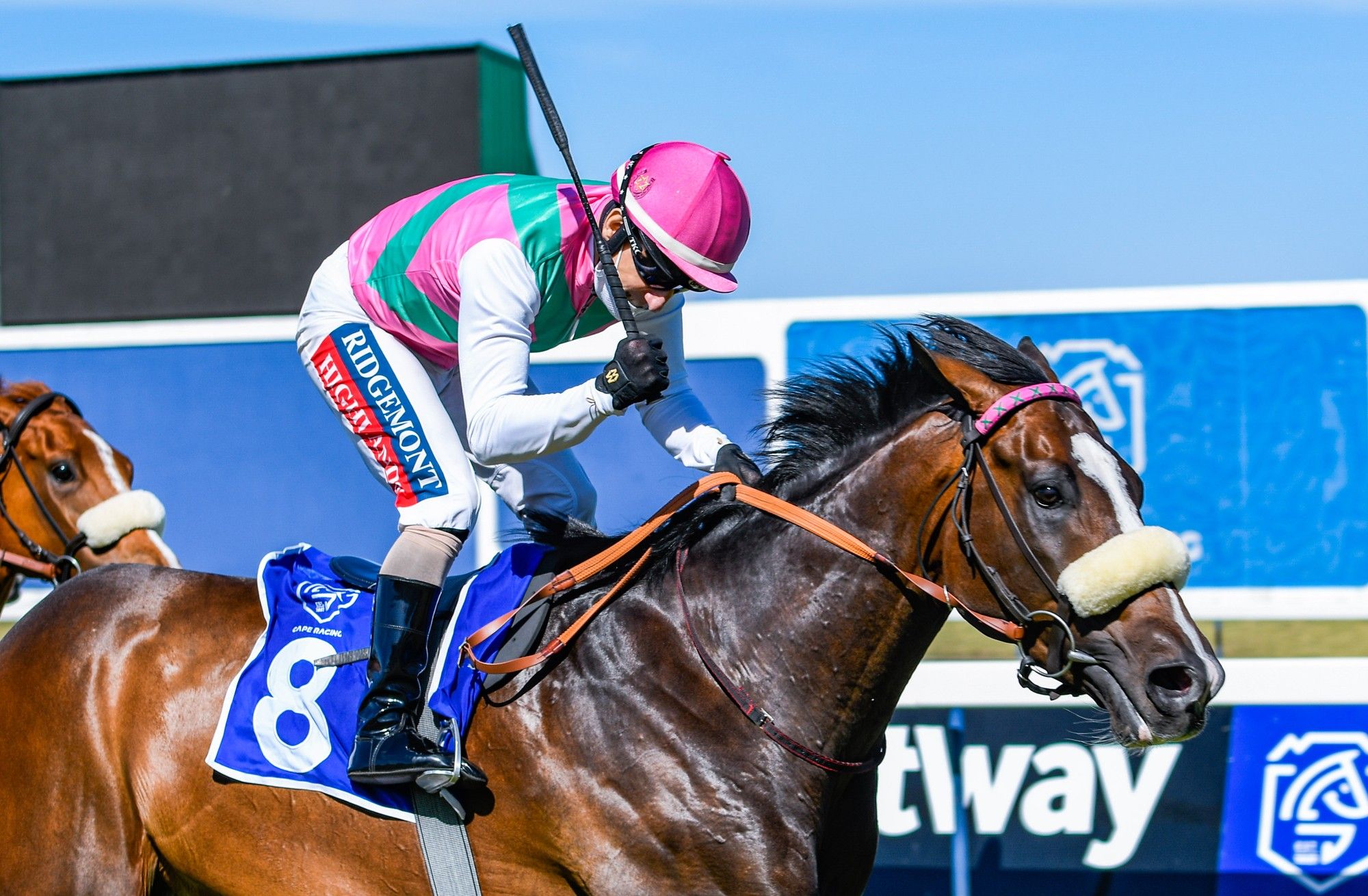 Double Superlative, Pomp And Power, the Justin Snaith-trained duo, the ...