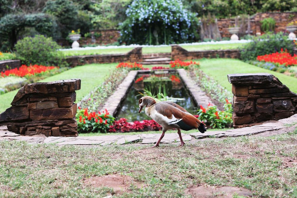 Durban named greenest city in the world