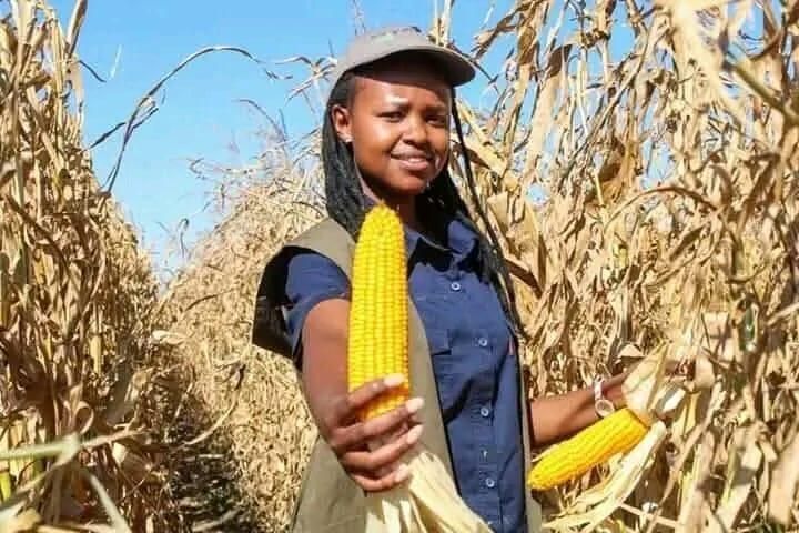 Wayethengisa intlanzi ngoku ngumfama